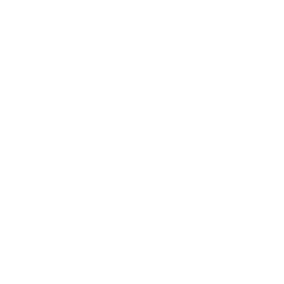 Flux Power (FLUX) - Revenue