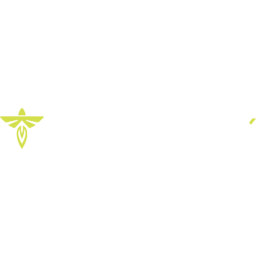Firefly Aerospace - 10-Q quarterly report FY2025 Q2