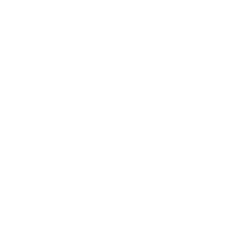 Fiera Milano (FM.MI) - Market capitalization