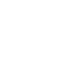 First Quantum Minerals (FM.TO) - Market capitalization