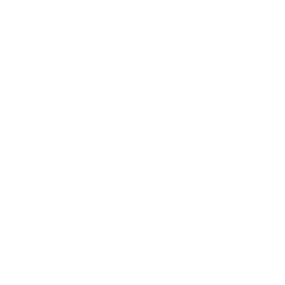 Freddie Mac (FMCC) - Dividends