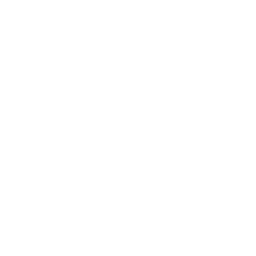 First National Financial (FN.TO) - Market capitalization
