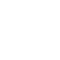 Fonar Corporation (FONR) - Dividend Yield