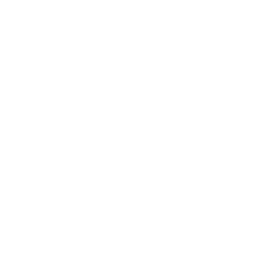 Fiesta Restaurant Group (FRGI) - Revenue