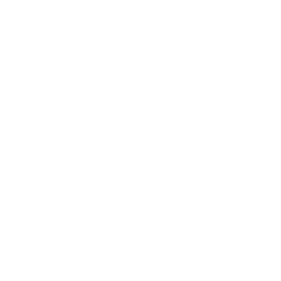 Fattal Holdings (Leonardo Hotels) (FTAL.TA) - Net Assets