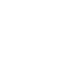 Formula One Group (FWONK) - Revenue