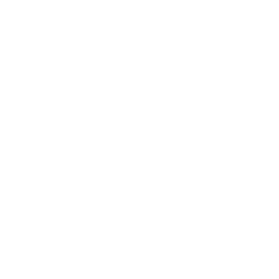 Gabriel India (GABRIEL.NS) - Stock price history