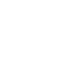 GCT Semiconductor (GCTS) - Net Assets