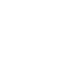 Geojit Financial Services (GEOJITFSL.NS) - P/E ratio