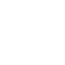 GE Vernova (GEV) - Dividends