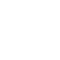 GELEX Group Joint Stock Company (GEX.VN) - Dividends