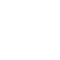 Guardforce AI (GFAI) - P/S ratio