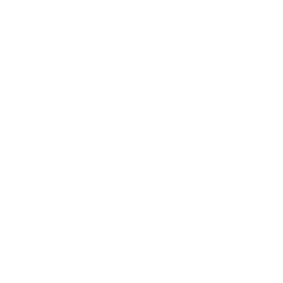 Grammer AG (GMM.DE) - Market capitalization