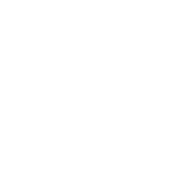 Genus (GNS.L) - P/E ratio