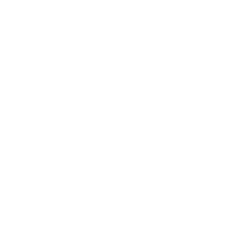 Alphabet (Google) (GOOG) - Shares outstanding