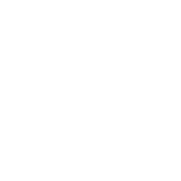 GPI S.p.A. (GPI.MI) - Revenue