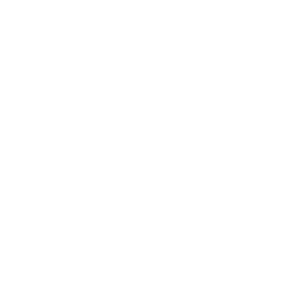 Gorilla Technology (GRRR) - Market capitalization