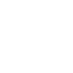 Heidelbergcement India (HEIDELBERG.NS) - P/S ratio