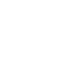 Hexo Hexo Total Assets