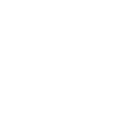 Hexaware Technologies (HEXT.NS) - Market capitalization