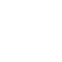 Hammond Power Solutions (HPS-A.TO) - Market capitalization