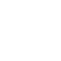 IBM (IBM) - Stock split history