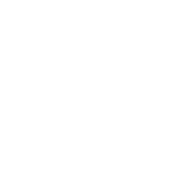 iEntertainment Network (IENT) - Market capitalization