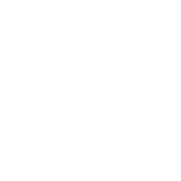 Inspira Technologies (IINN) - Total assets