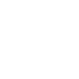 Indian Hotels Company (INDHOTEL.NS) - Stock price history