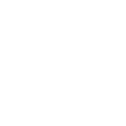 Indoco Remedies (INDOCO.NS) - P/B ratio