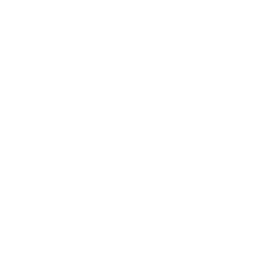 Infosys (INFY) - Market capitalization