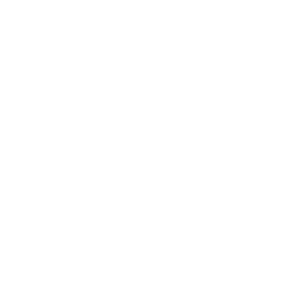 Ingersoll Rand India (INGERRAND.NS) - P/B ratio