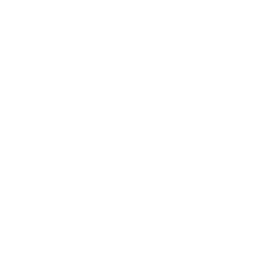 PopReach (INIK.V) - Total assets