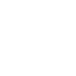 Intapp (INTA) - Shares outstanding