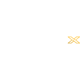 IperionX (IPX) - P/B ratio