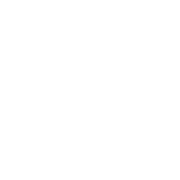 iQIYI (IQ) - Stock price history