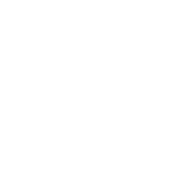IVU Traffic Technologies - Jahresberichte