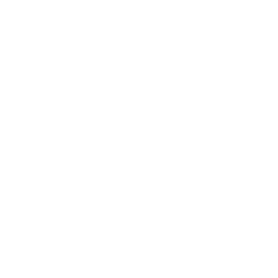 Janover (JNVR) - P/E ratio