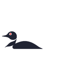 Johnson Outdoors (JOUT) - Market capitalization
