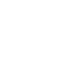 JOST Werke SE (JST.DE) - Revenue