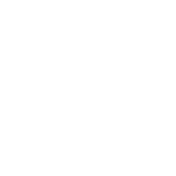 Kingfa Science & Technology (KINGFA.NS) - Market capitalization