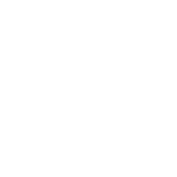 KKR & Co. - 10-Q quarterly report FY2025 Q1