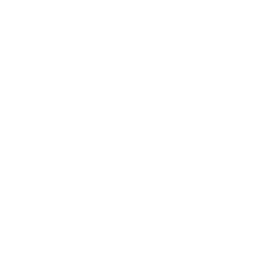 Kelsian Group (KLS.AX) - Revenue