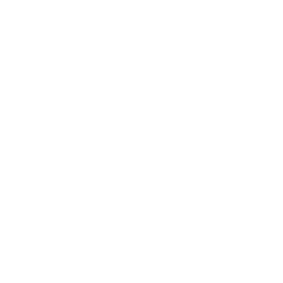 Kaveri Seed (KSCL.NS) - Market capitalization
