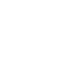 Kaspien (KSPN) - Market capitalization