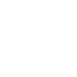 Kenvue - 10-K annual report 2024