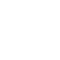 KraneShares CSI China Internet ETF (KWEB) - Stock price history
