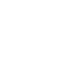 Leonardo (LDO.MI) - Market capitalization