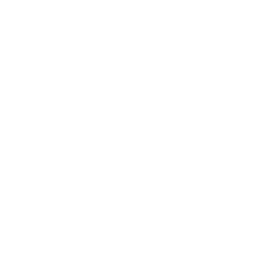 Lehman Brothers (LEHM) - Market capitalization