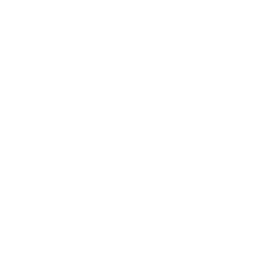 Logility Supply Chain Solutions (LGTY) - Revenue